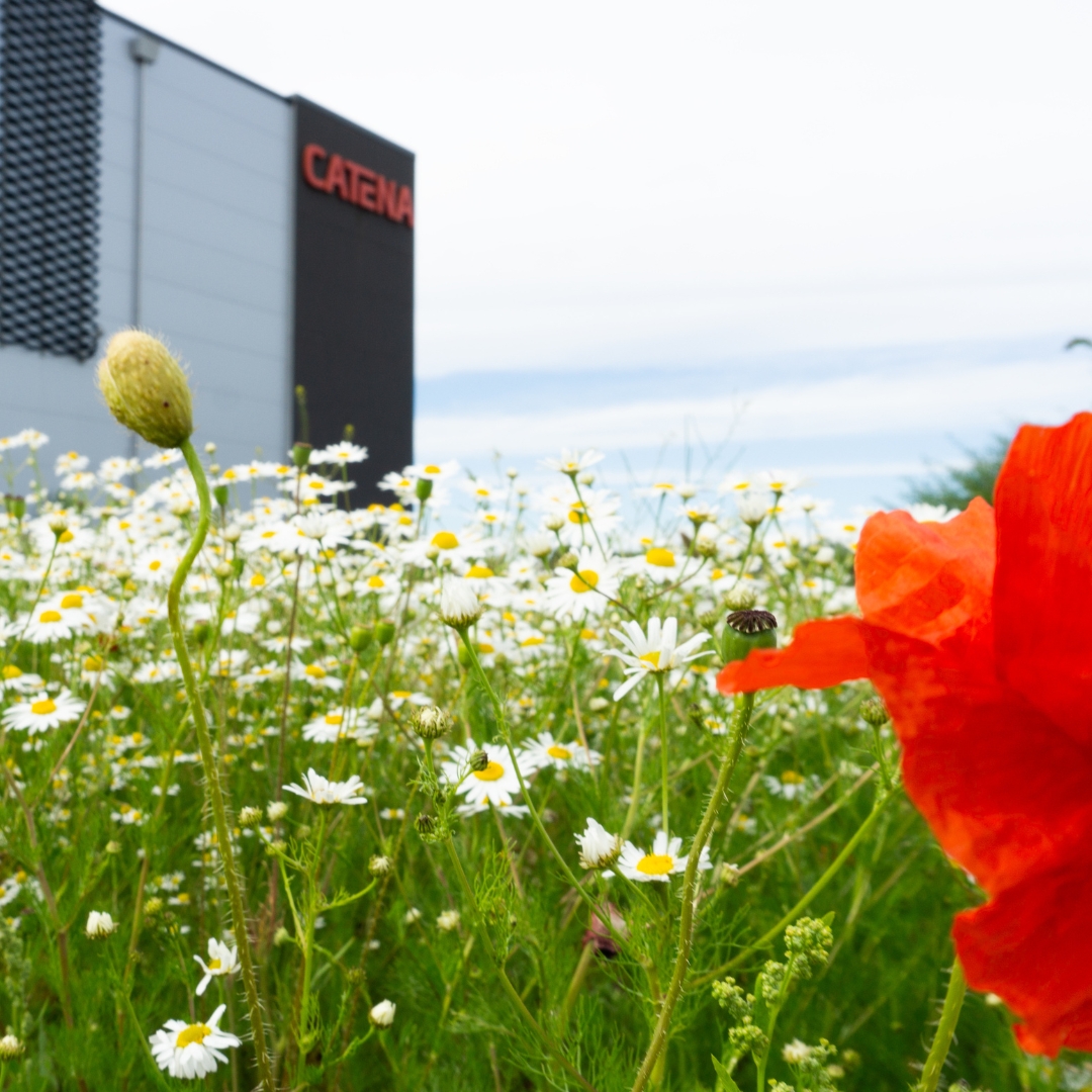 Investors | Catena AB